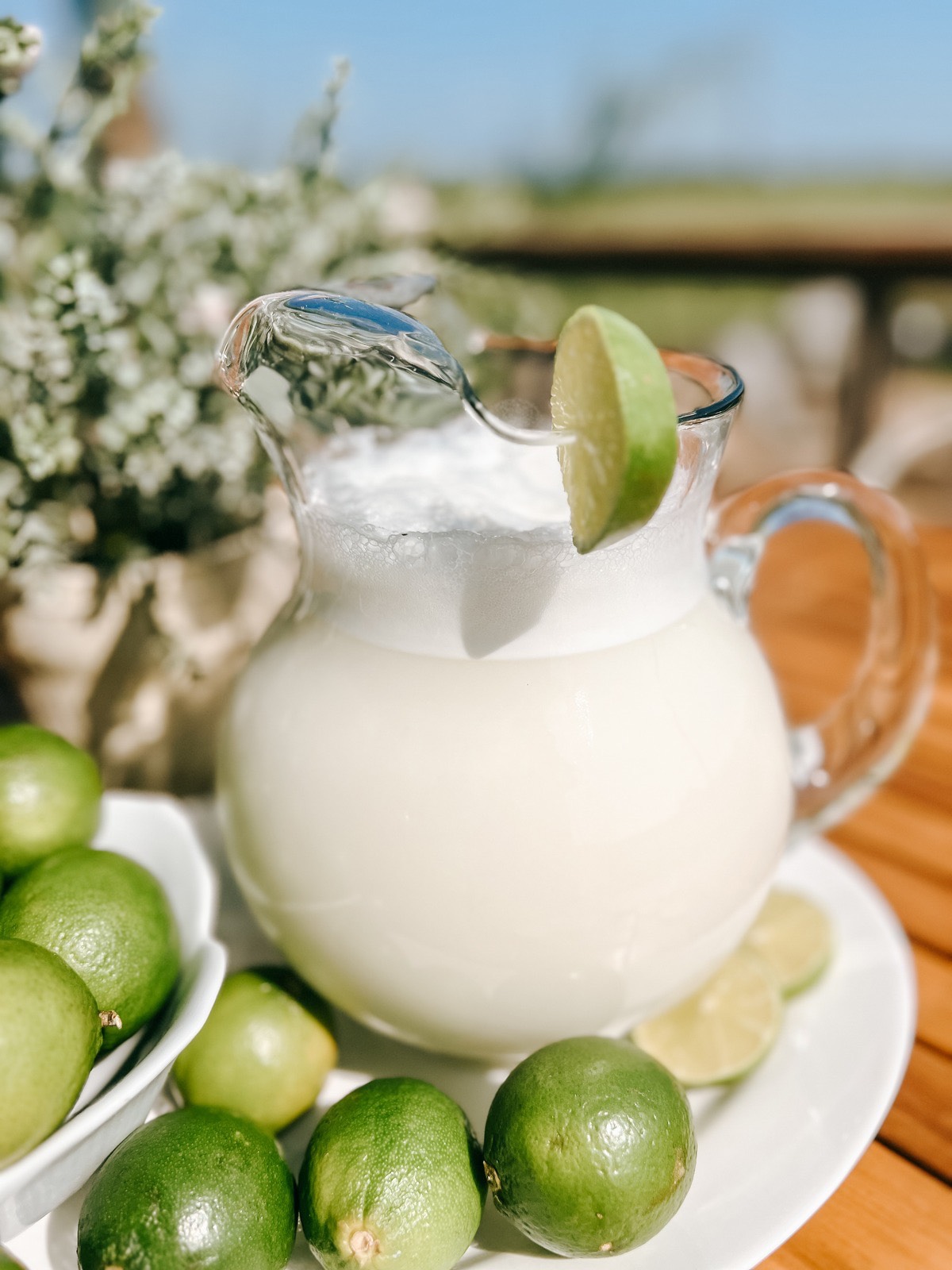 Brazilian Limeade - Amy Collins Tribe