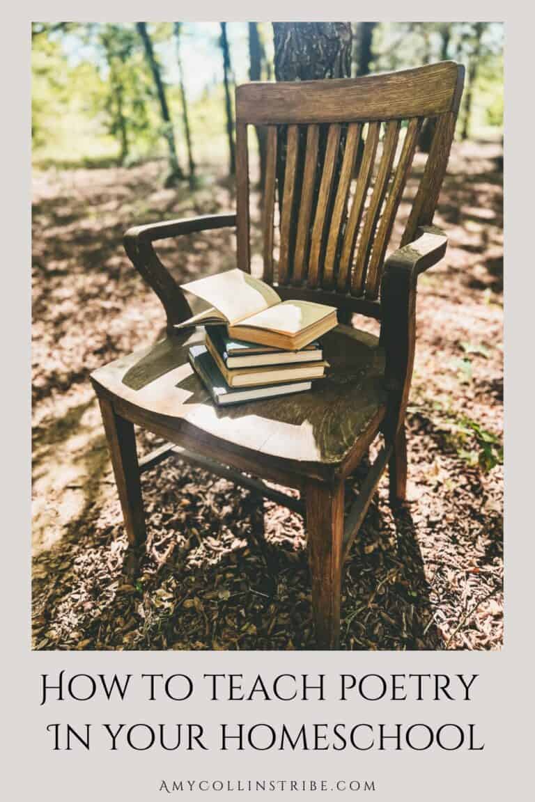 How to Teach Poetry in Your Homeschool (+ Free Resources!) - Amy ...