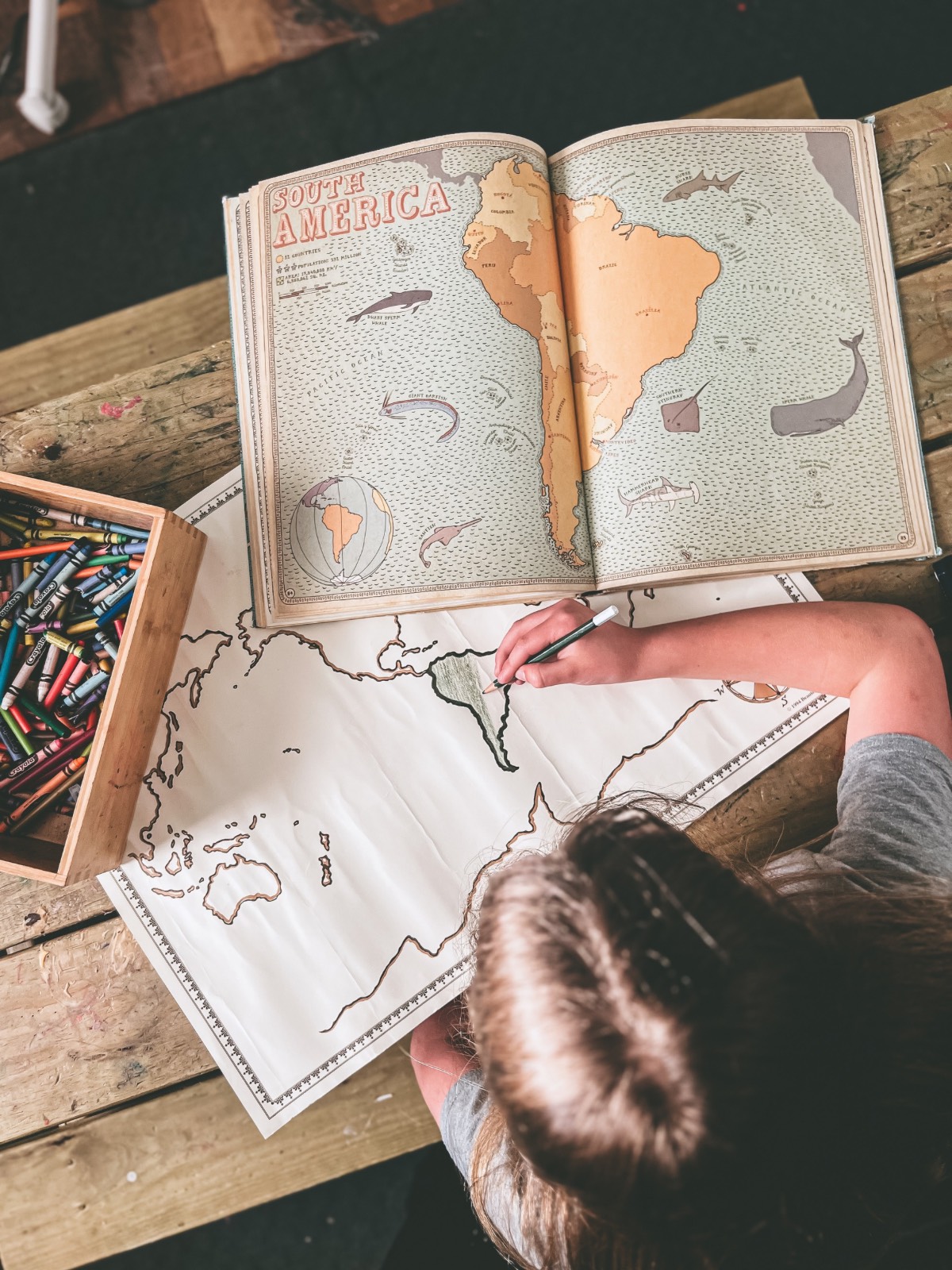 How to Start Homeschooling; A Comprehensive Guide - Amy Collins Tribe